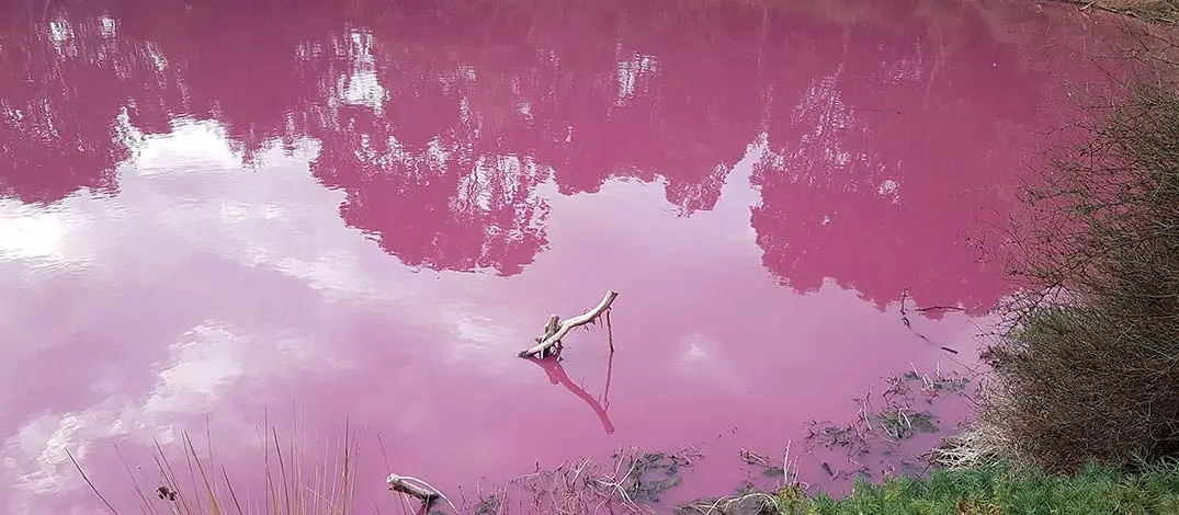 Lago hillier: turismo en el lago rosa de australia | Mi Mundo por el Mundo