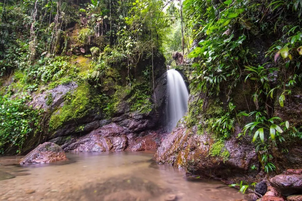 Parques nacionales de honduras para el turismo | Mi Mundo por el Mundo