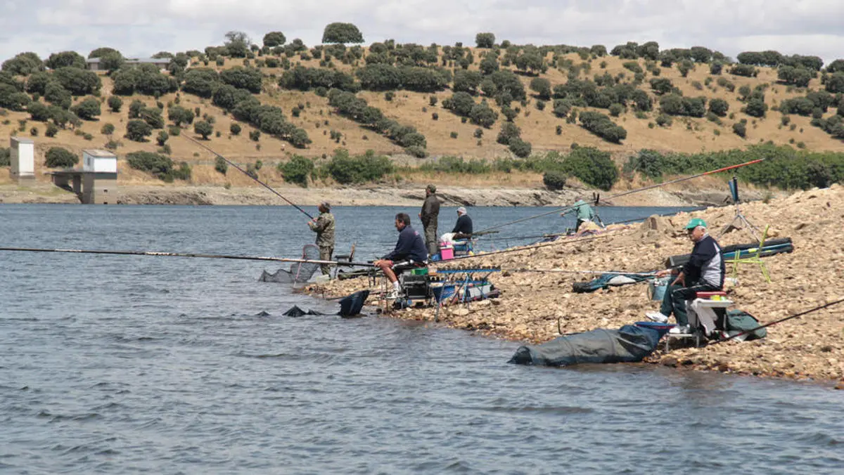 Tutorial de pesca en méxico: la mejor temporada para cada especie | Mi ...
